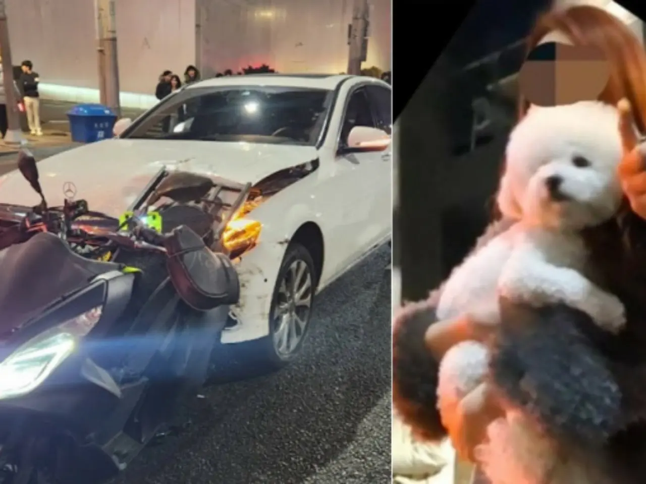 Drunk Driving DJ's eyewitness report goes viral = South Korea | wowKorea