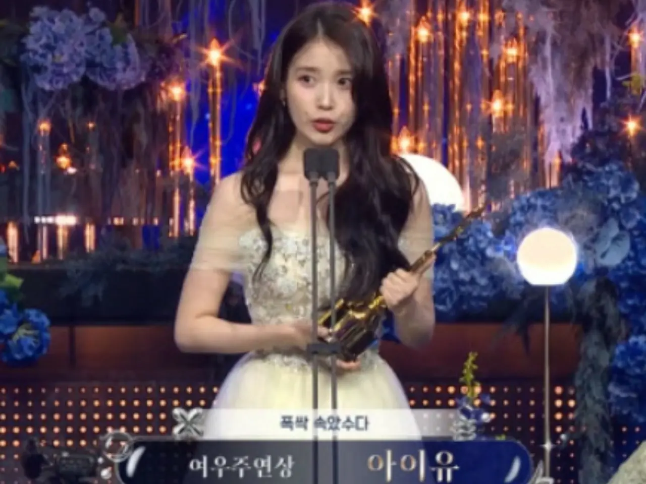 [4th Blue Dragon Series Awards] Ae Seung takes first place! IU wins Best Actress Award for ...